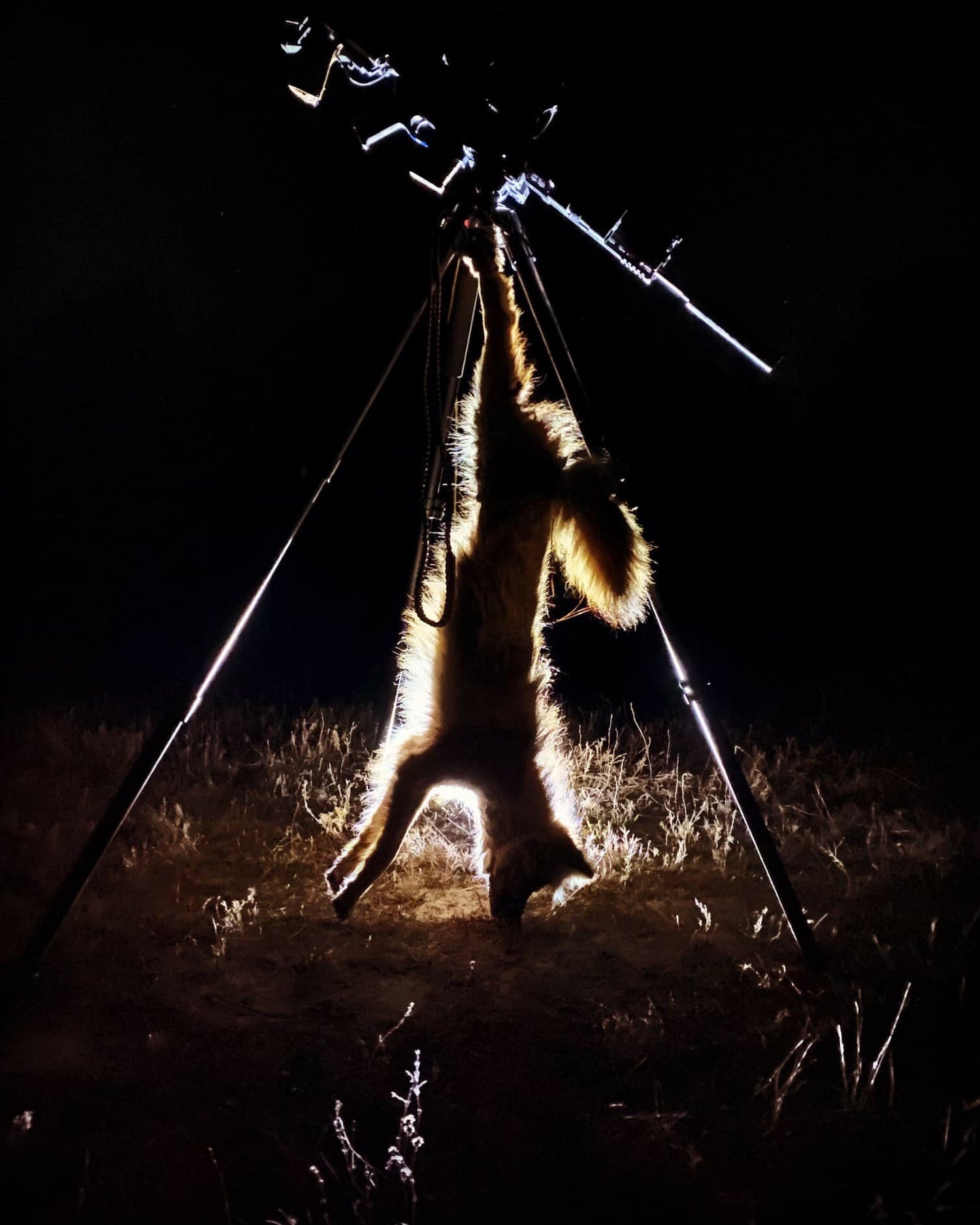 Yote Ropes – Yote Ropes, LLC